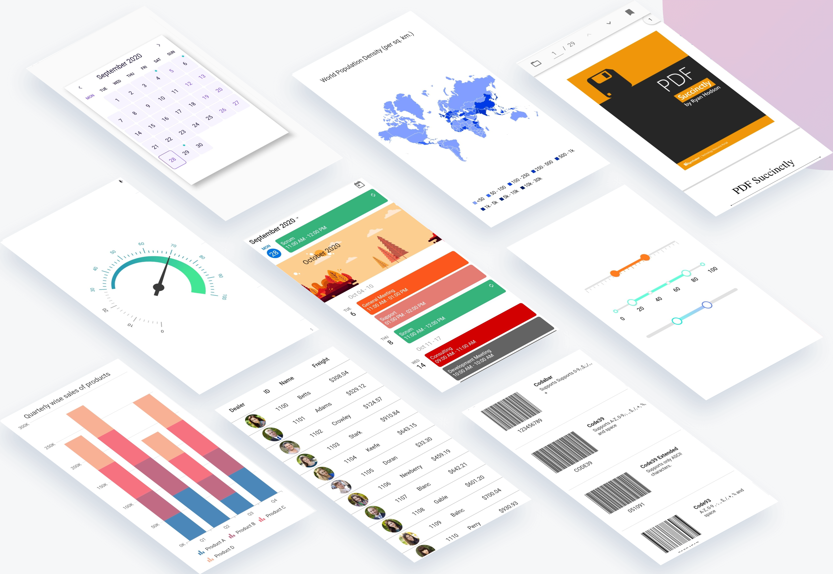  Flutter Examples 